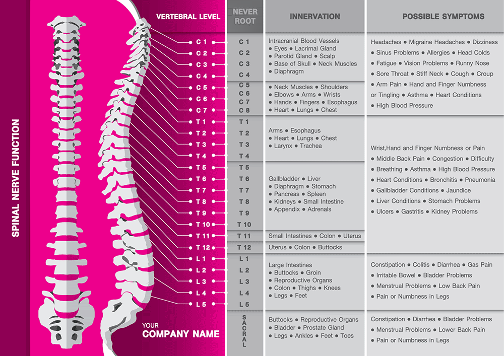 Spinal Cord Injuries Non traumatic Nursing CEU AOTA CEUfast Spinal Cord Injuries Non traumatic Nursing CEU AOTA CEUfast
